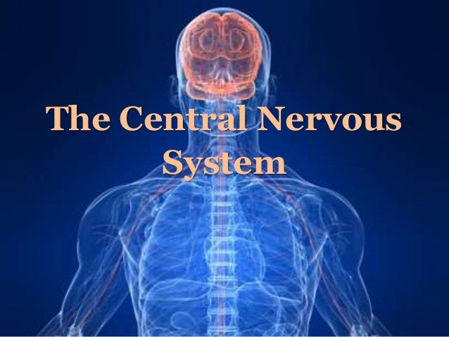 The central nervous system