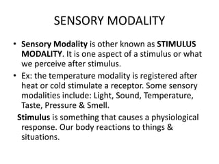 The Central Nervous System | PPTX | Brain and Nervous System Disorders ...