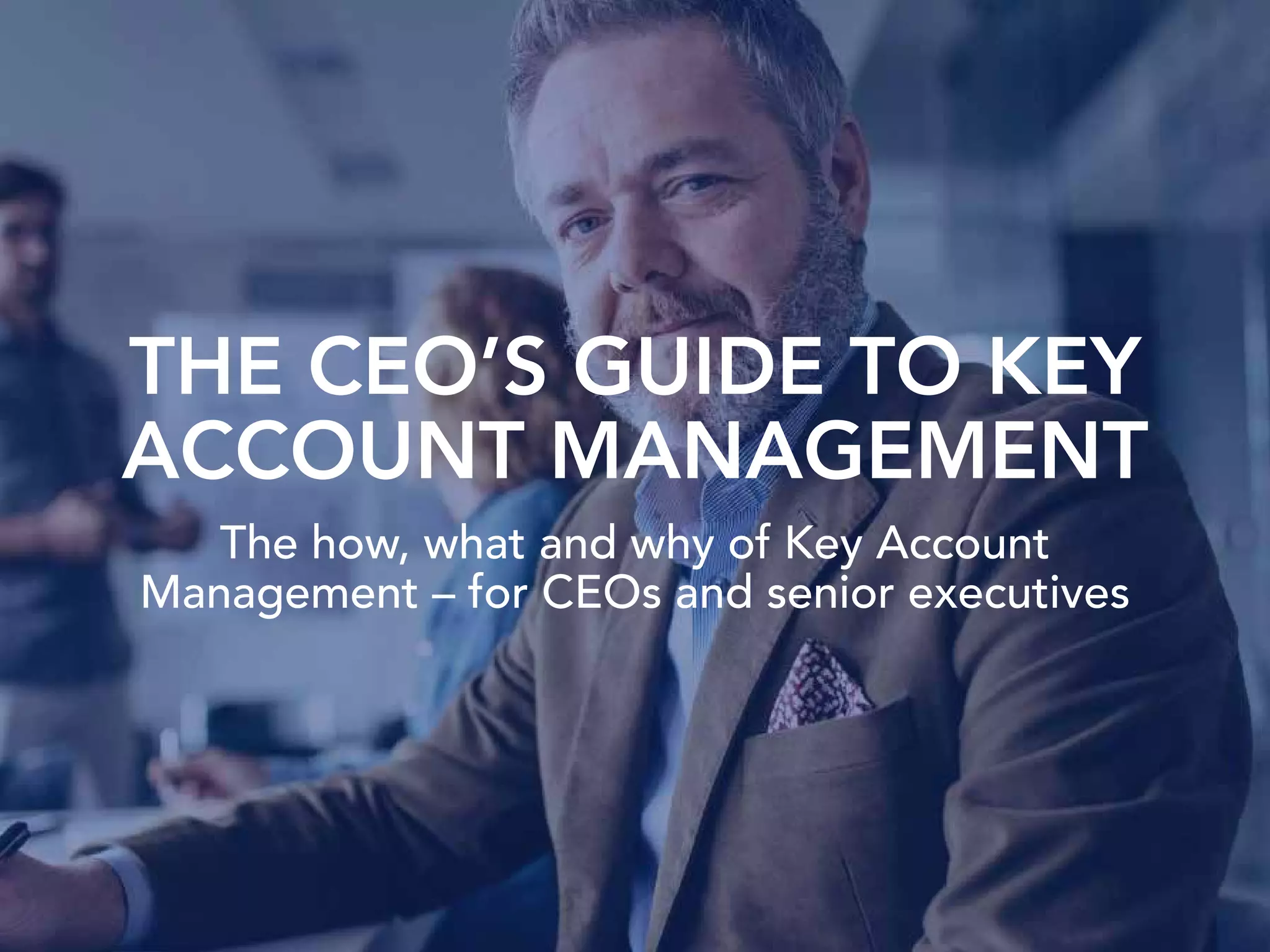 The CEO Guide to Key Account Management | PDF