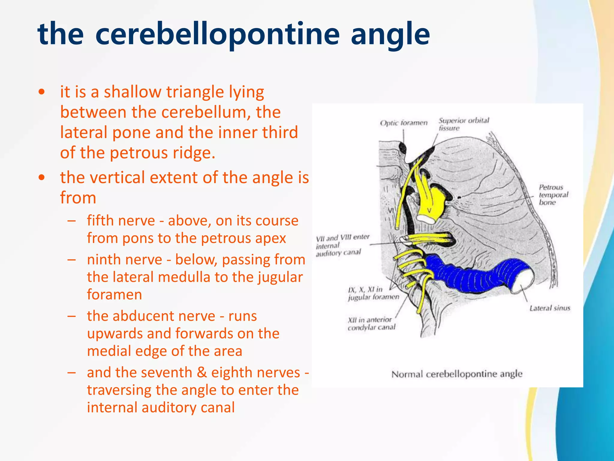 The cerebello pontine angle | PPTX