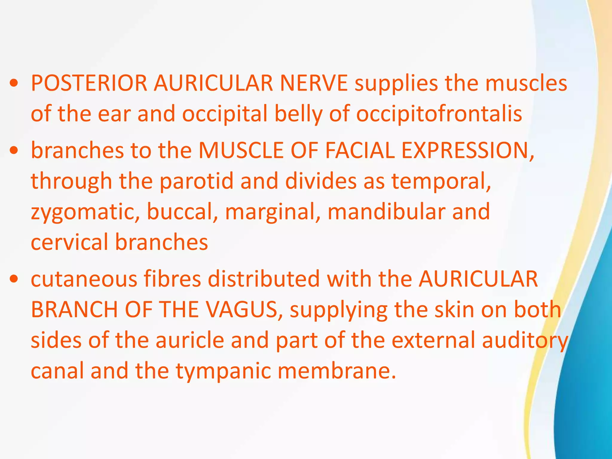 The cerebello pontine angle | PPTX