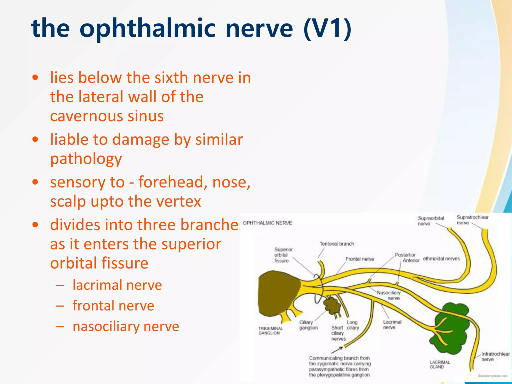 The cerebello pontine angle | PPTX