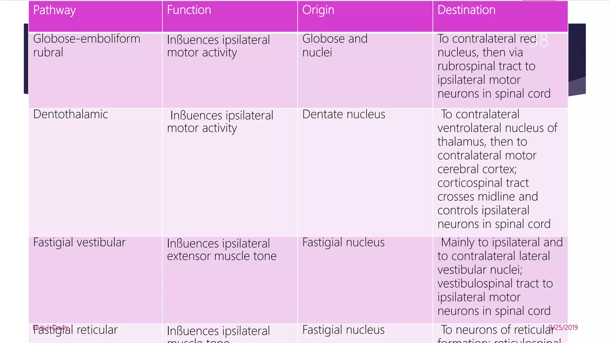 The cerebellum | PPTX | Brain and Nervous System Disorders | Diseases ...