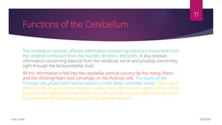 The cerebellum | PPTX | Brain and Nervous System Disorders | Diseases ...