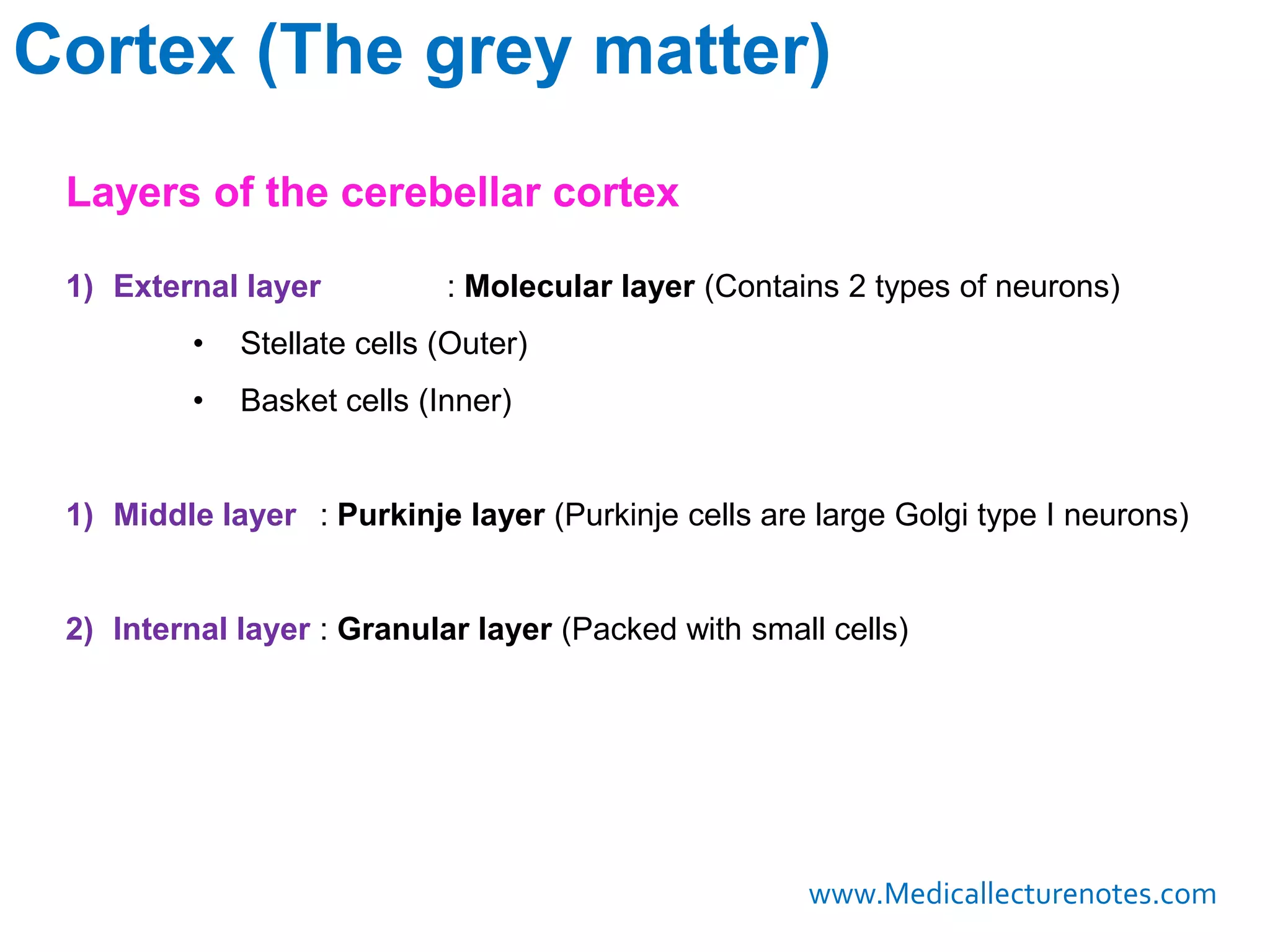 The cerebellum i | PPTX