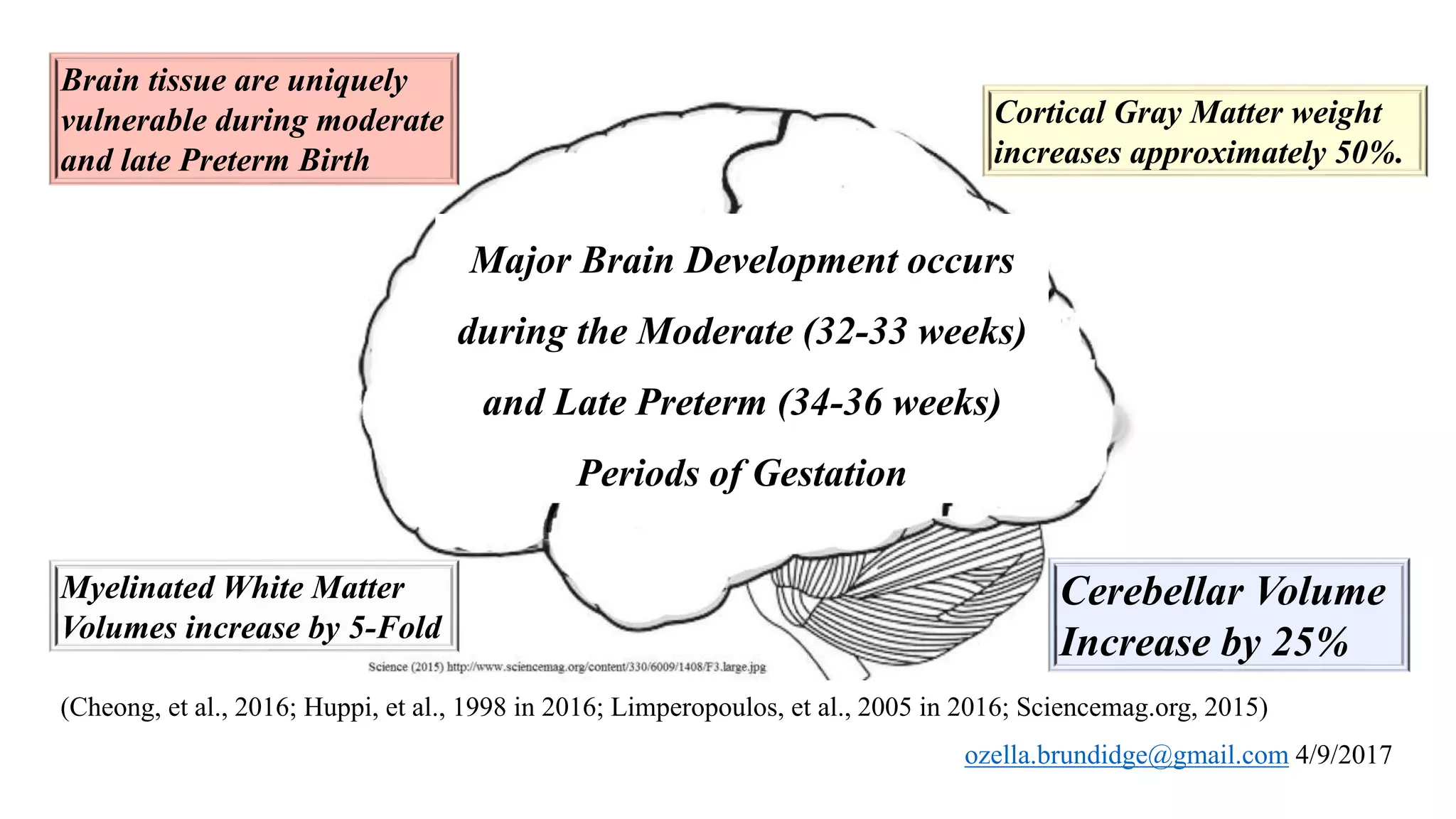 The cerebellum’s motor and nonmotor functions | PPTX
