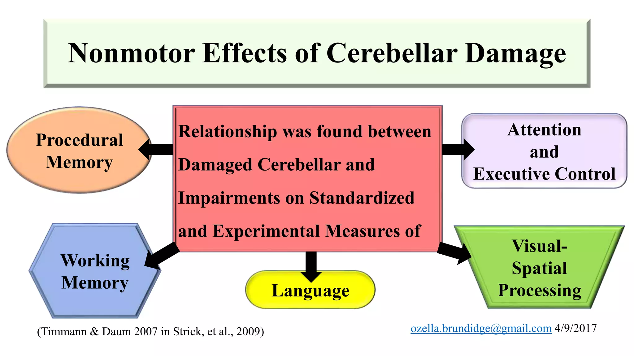 The cerebellum’s motor and nonmotor functions | PPTX