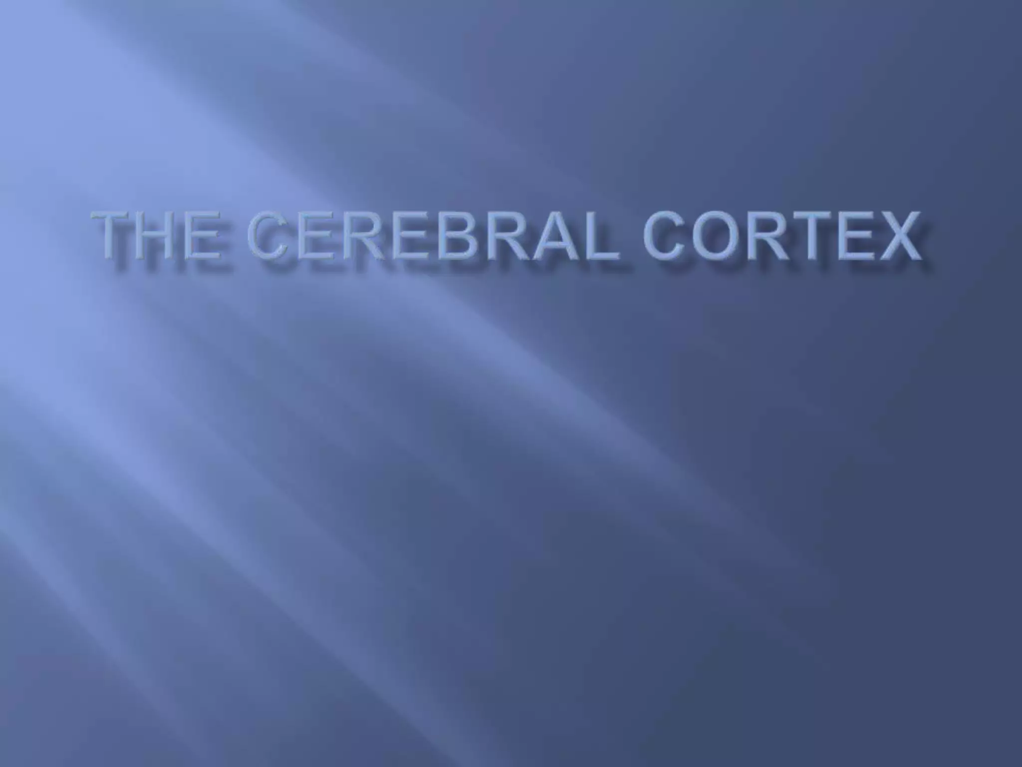 The Cerebral Cortex | PPTX