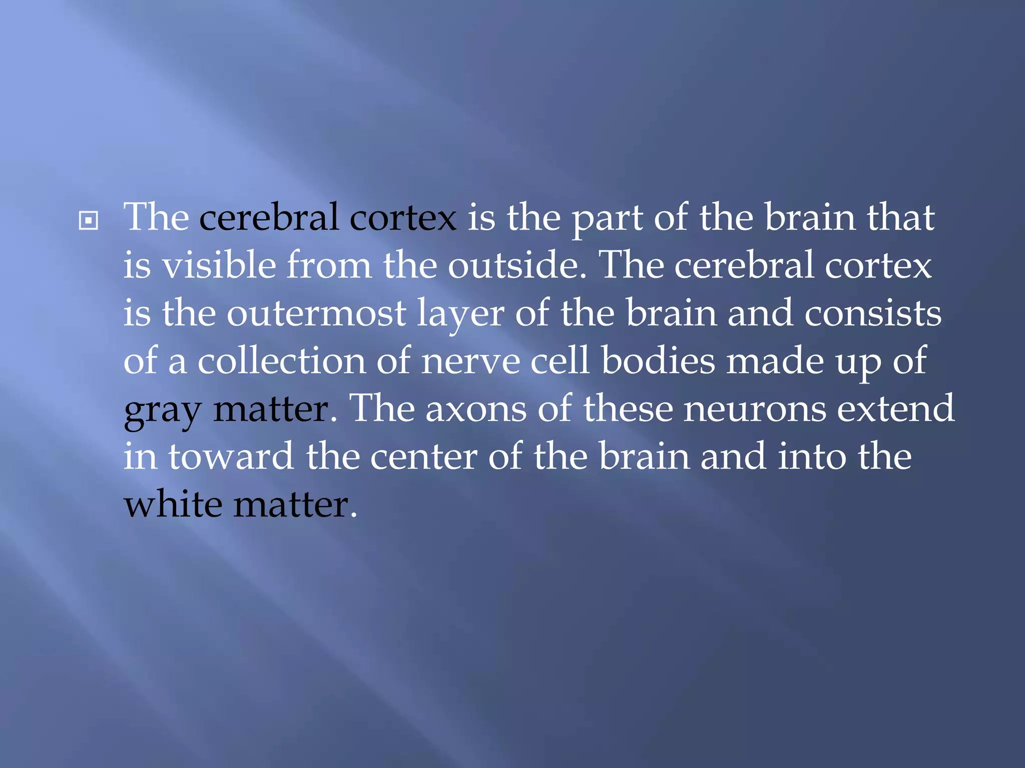 The Cerebral Cortex | PPTX