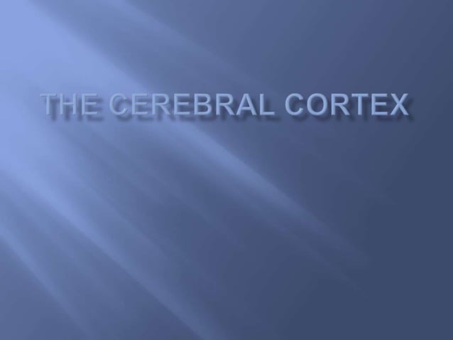 The Cerebral Cortex | PPTX