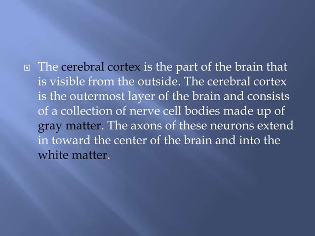 The Cerebral Cortex | PPTX