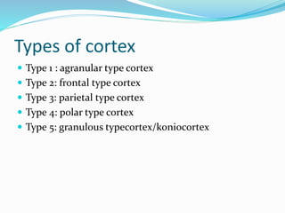 The cerebral hemispheres - Gross Anatomy & Connections | PPTX
