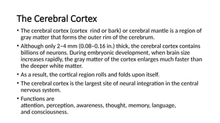 The Cerebrum.pptx by sir waqar ahmed of brain | PPTX