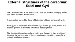 The cerebrum_084338.pdf for neuroanatomy lectures | PDF