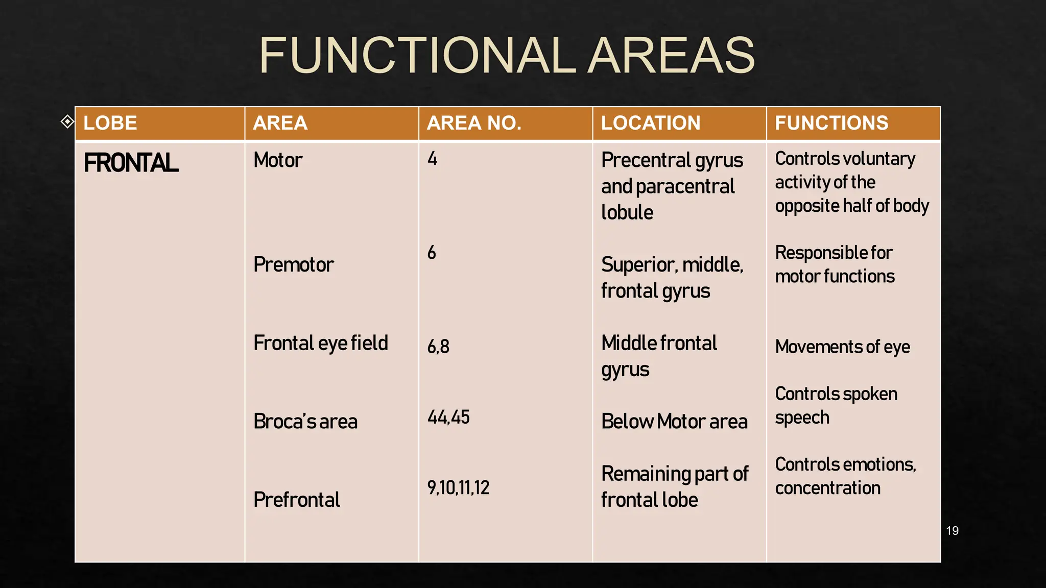 ANATOMY OF THE CEREBRUM WITH CLINICAL ANATOMY.pptx