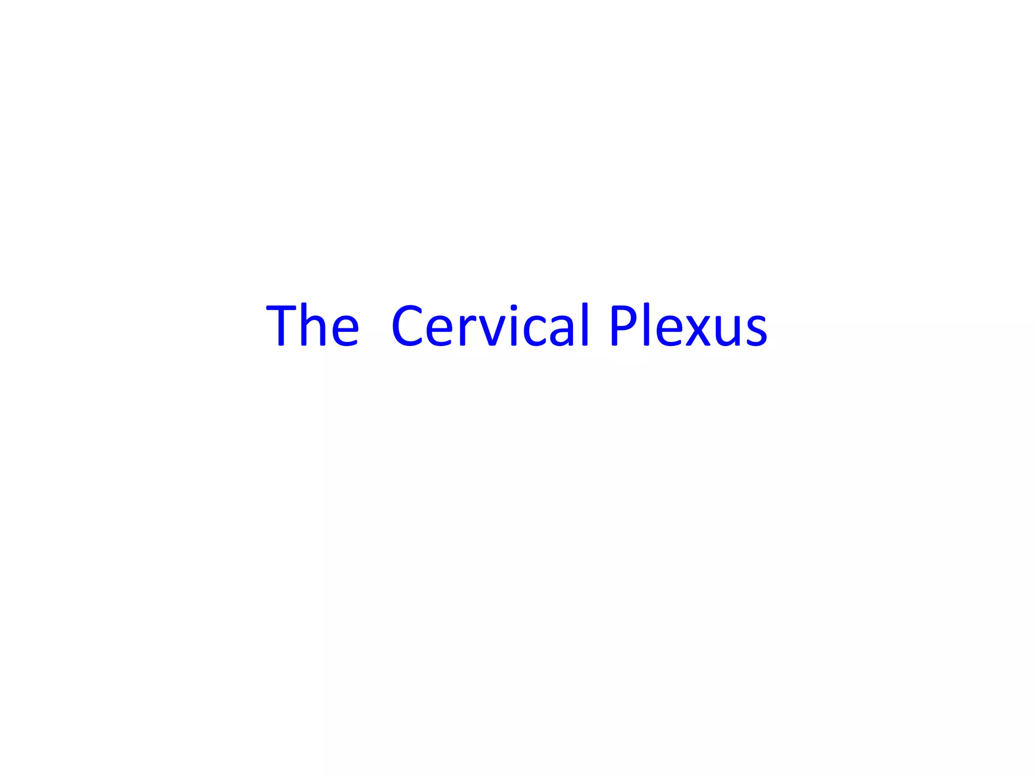 The cervical plexus | PPTX