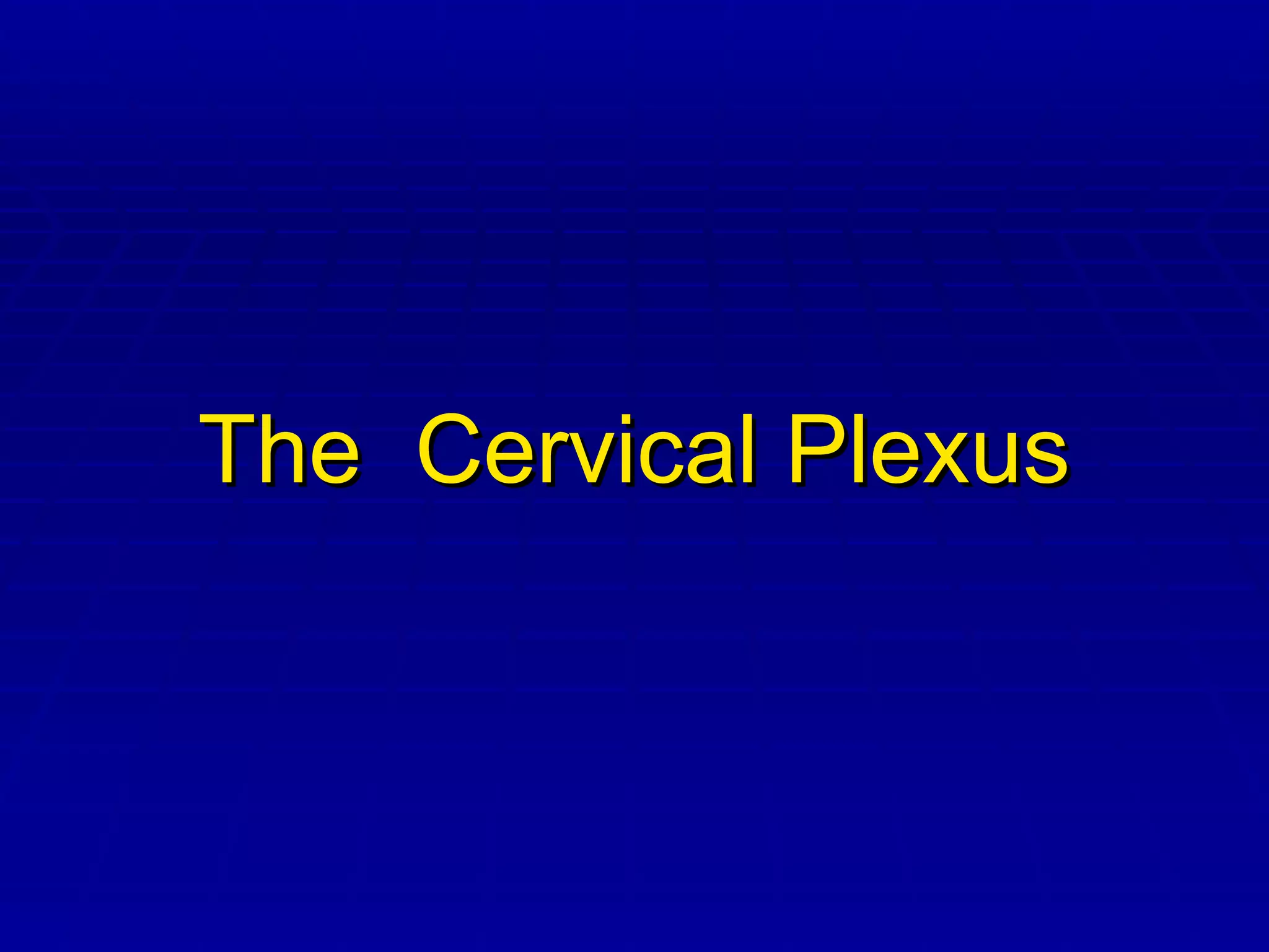 The cervical plexus | PPT