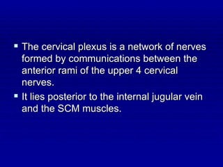 The cervical plexus | PPT