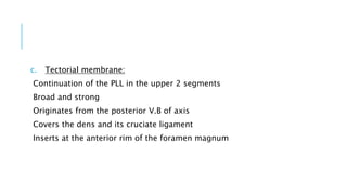 The cervical spine | PPTX