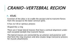 The cervical spine | PPTX