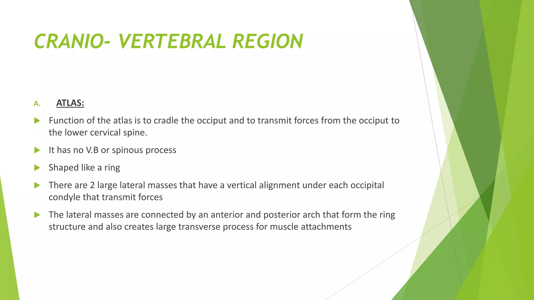 The cervical spine | PPT