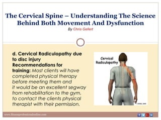 The cervical spine – understanding the science behind both movement and ...