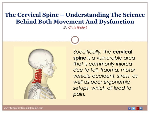 The cervical spine – understanding the science behind both movement and ...