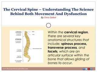 The cervical spine – understanding the science behind both movement and ...