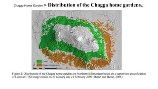 The chagga home garden multistoried agroforestry system | PPTX