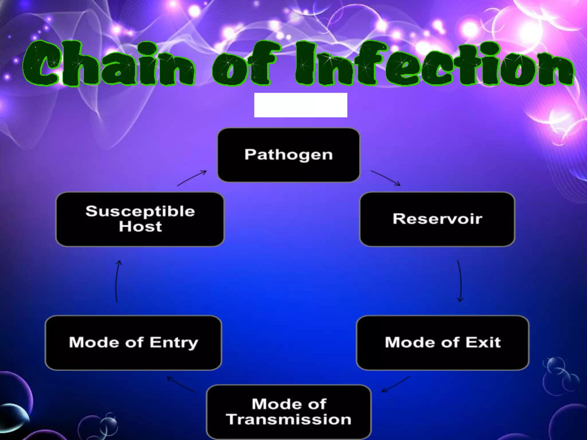 The chain of infection | PPTX