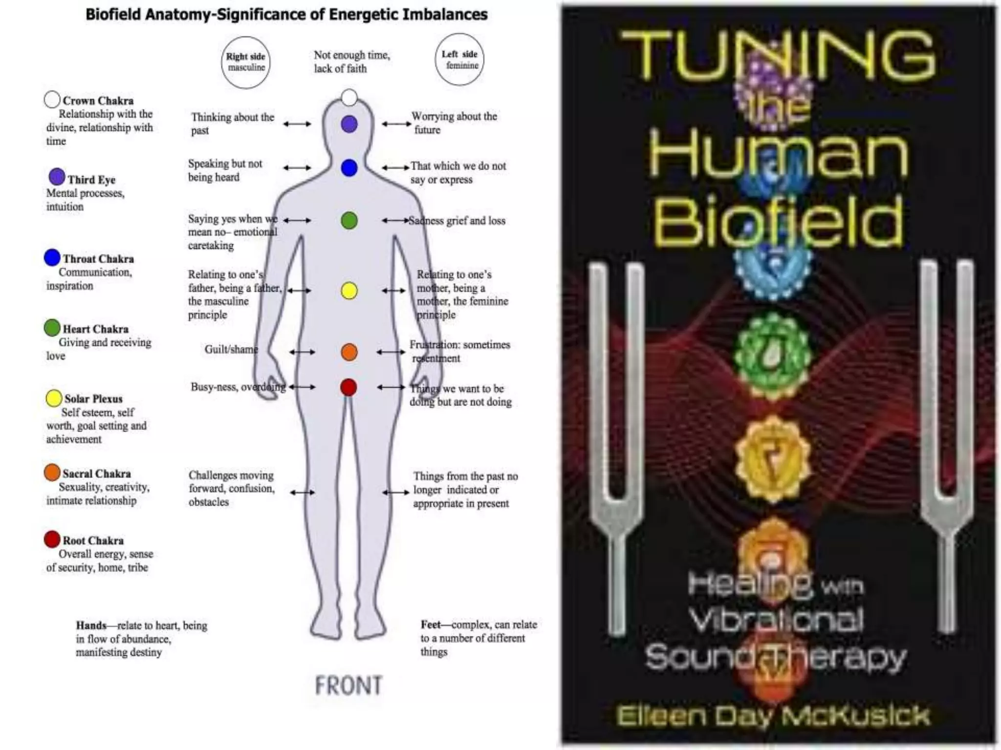 The Chakra System: Thornton Streeter, Centre for Biofield Sciences | PPTX