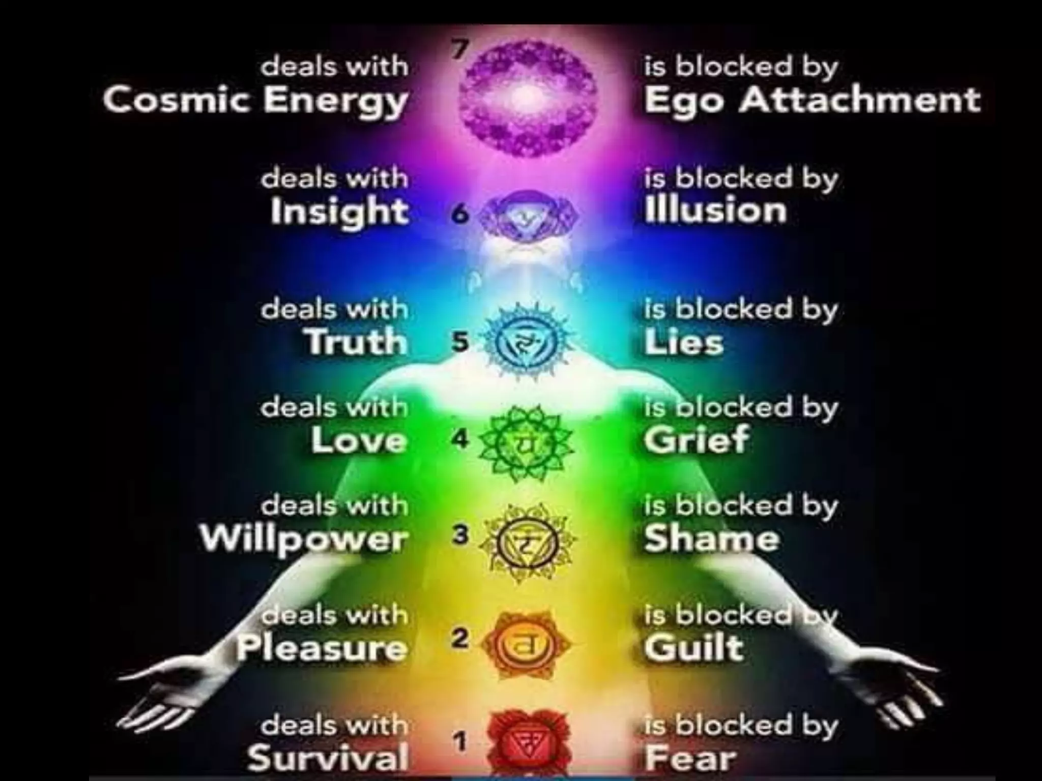 The Chakra System: Thornton Streeter, Centre for Biofield Sciences | PPTX