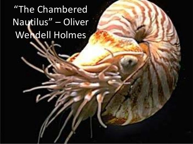 Chambered Nautilus Poem Nautilus Magazine Of New Thought EBook