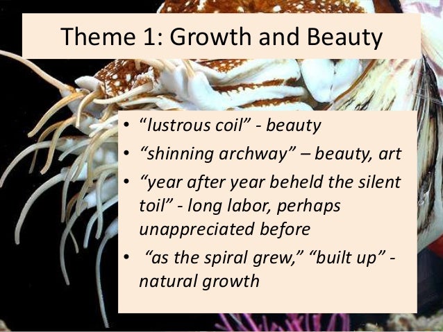 Chambered Nautilus Poem Nautilus Magazine Of New Thought EBook