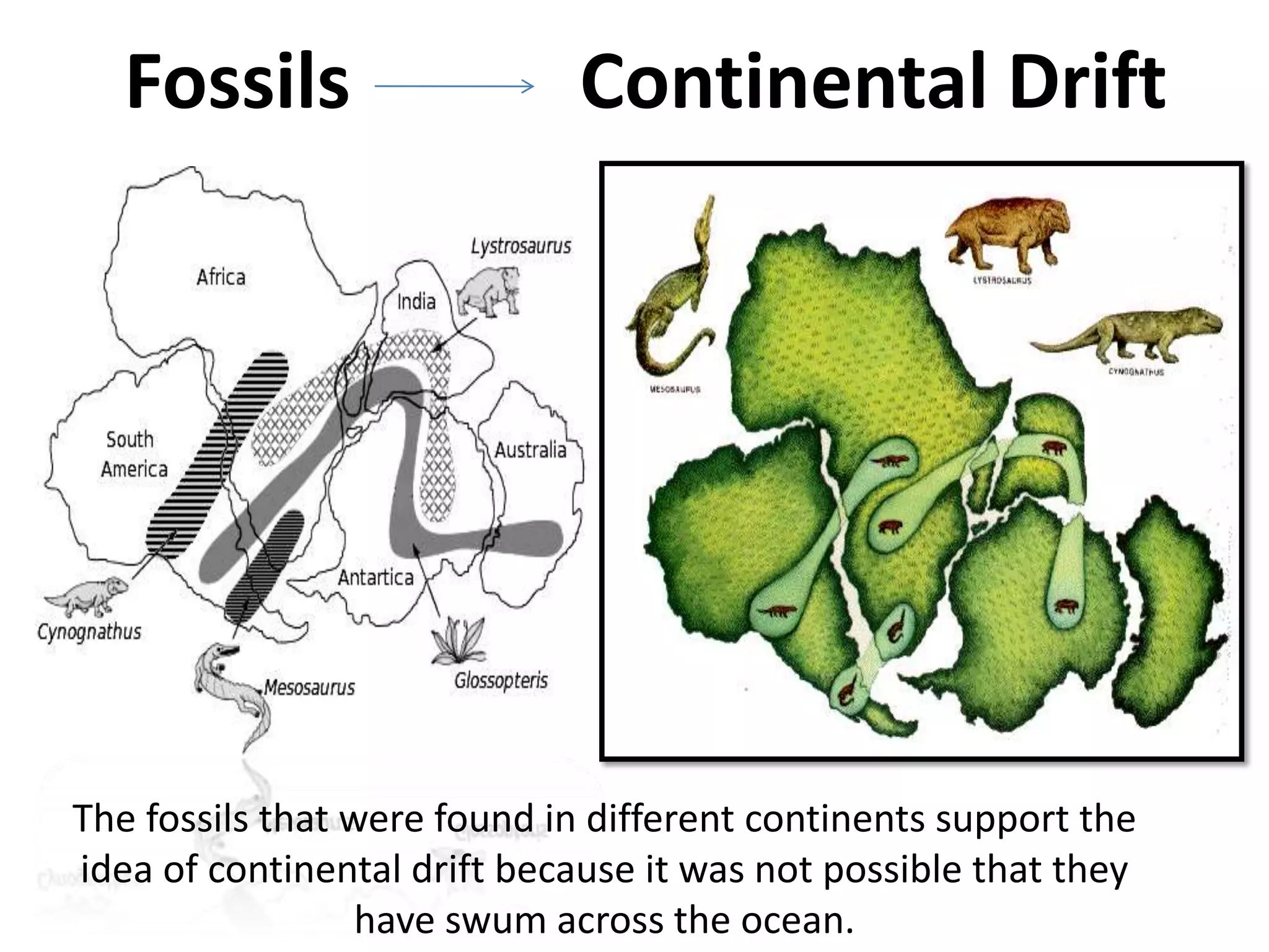 The changing earth | PPTX