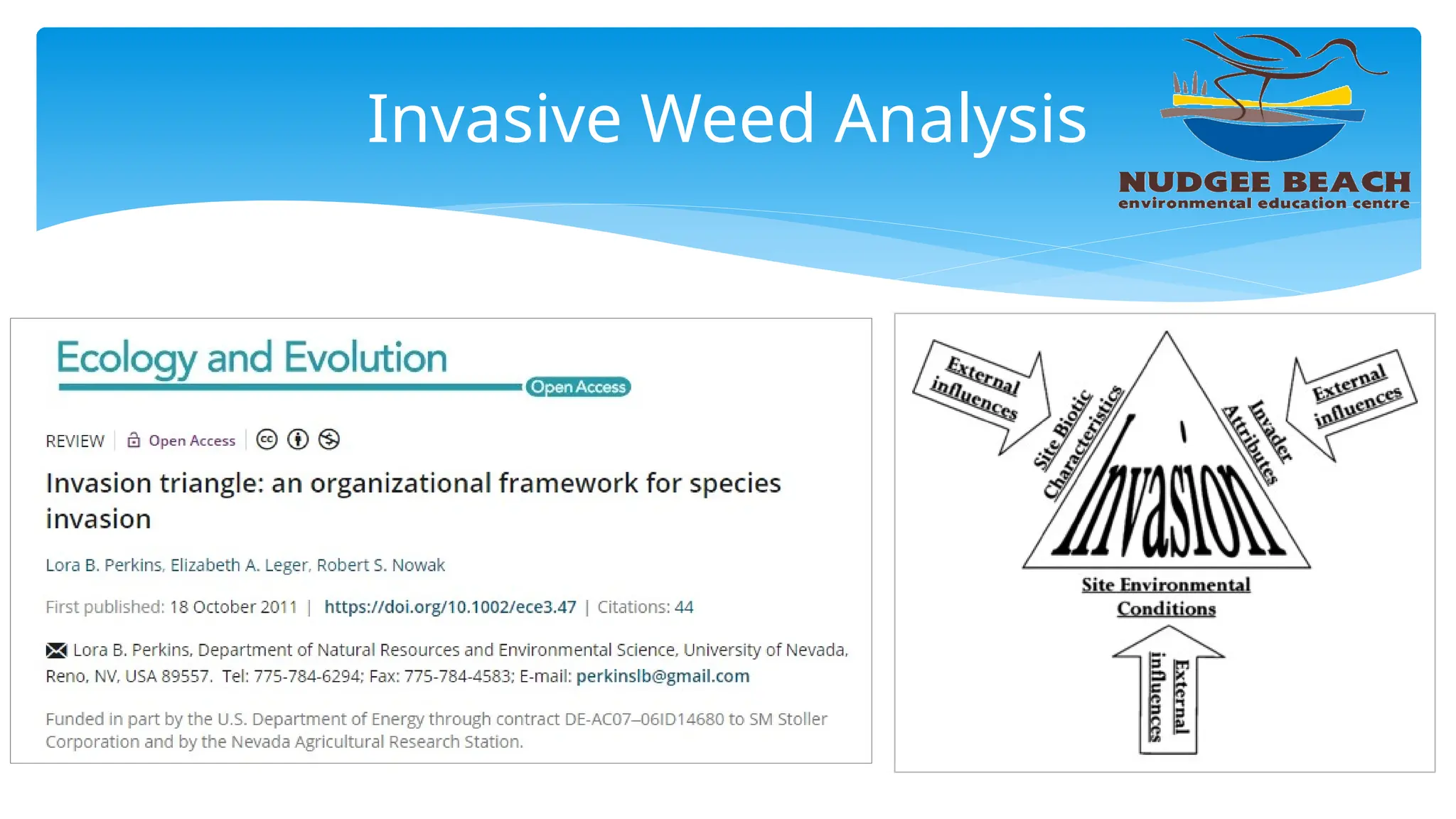 The changing landscape of Nudgee Beach V3 .pptx