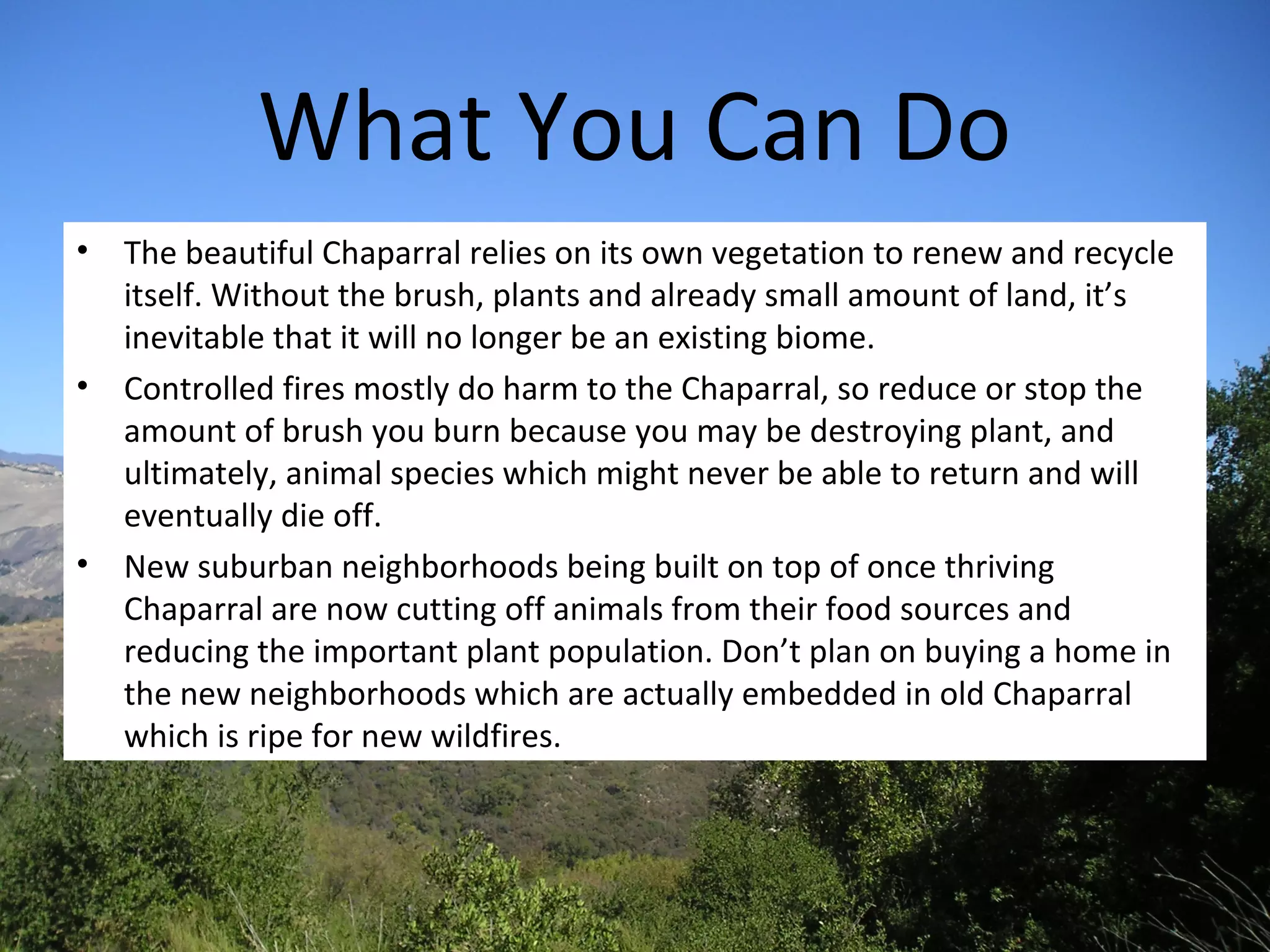 The chaparral biome | PPT