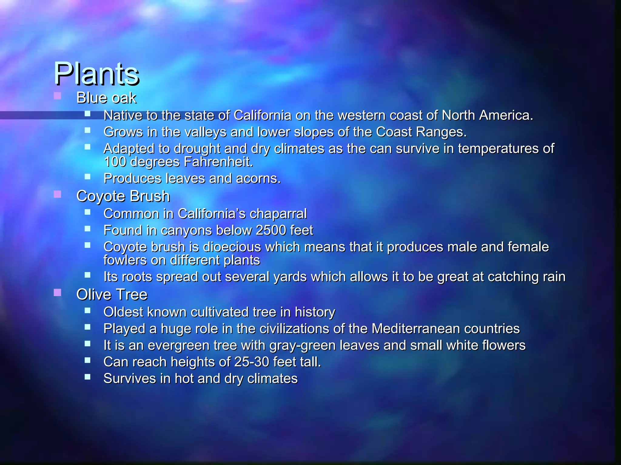 The chaparral biome | PPT