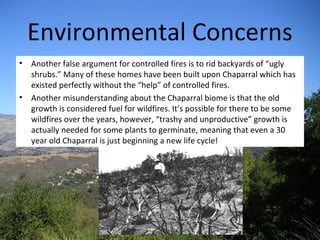 The chaparral biome | PPT