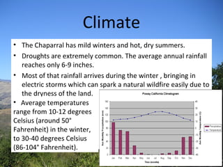The chaparral biome | PPT