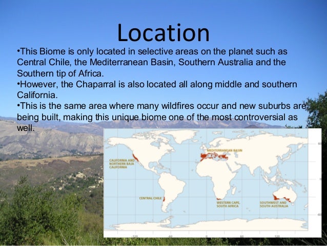 The chaparral biome