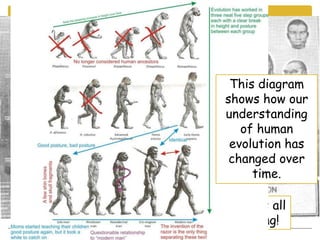 The characteristicsoflivingthings[1] | PPT