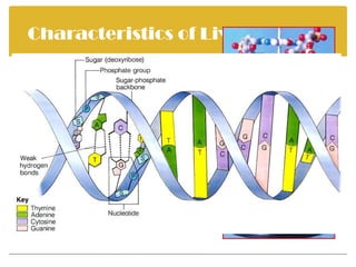 The characteristicsoflivingthings[1] | PPT