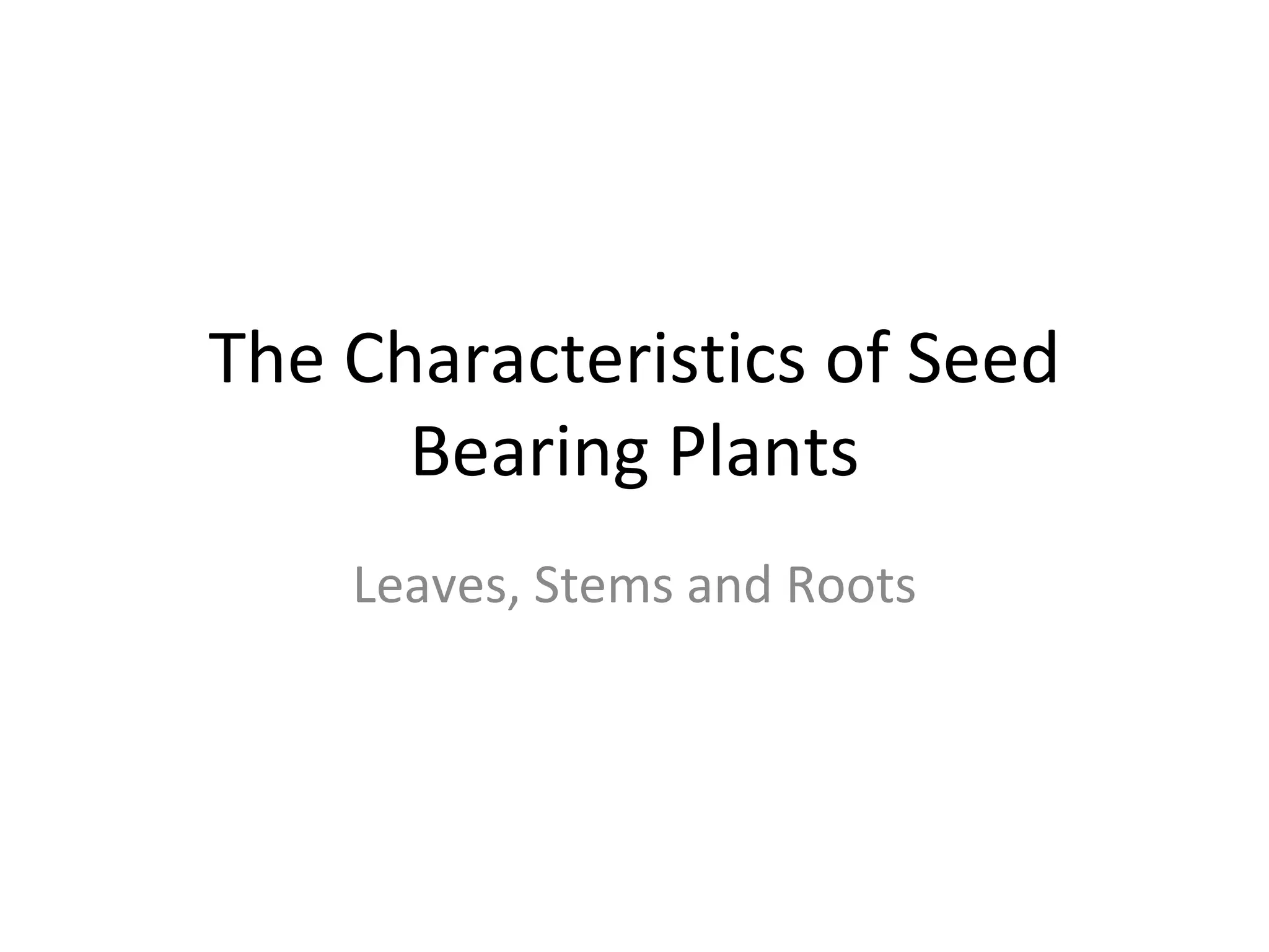The Characteristics Of Seed Bearing Plants | PPT