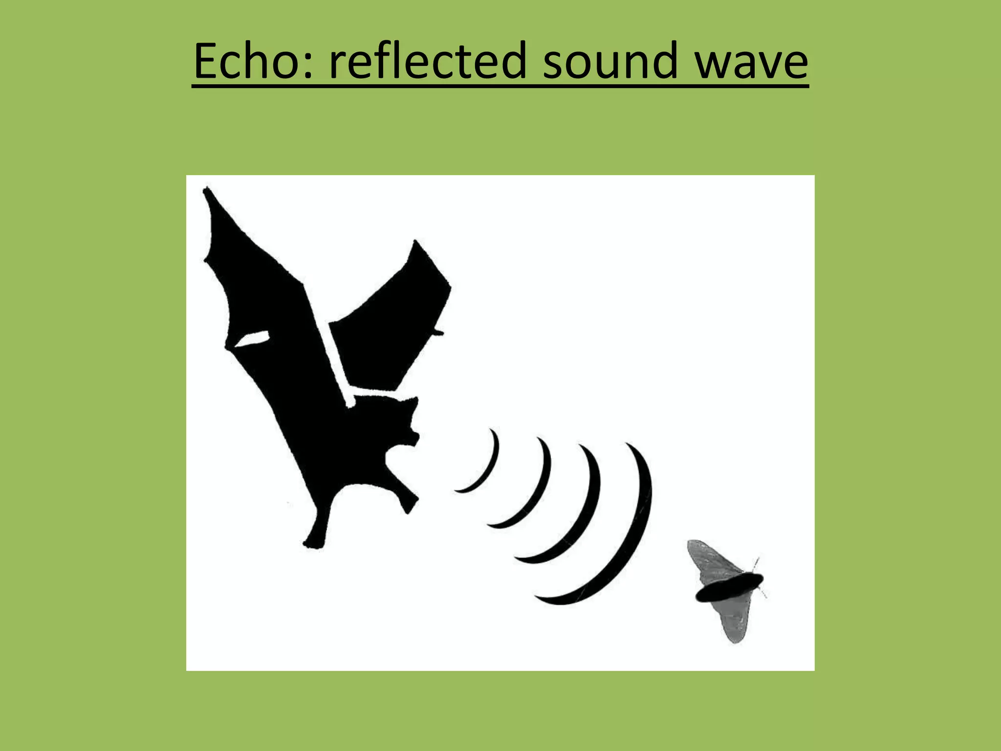 The characteristics of sound! | PPTX