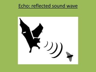 The characteristics of sound! | PPT