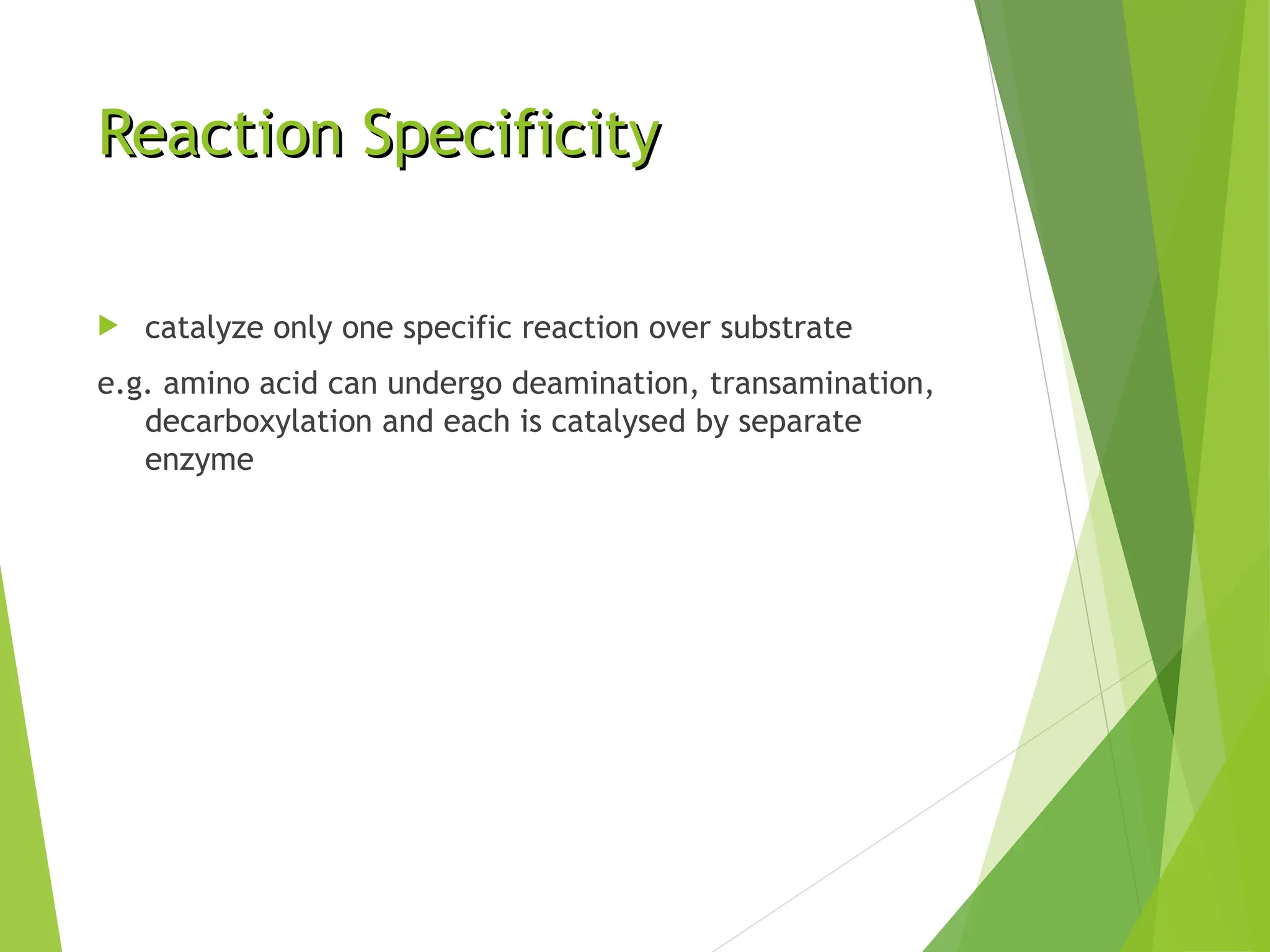 The chemical nature of enzymes, naming and classification of enzymes.ppt