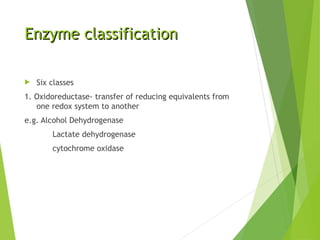 The chemical nature of enzymes, naming and classification of enzymes.ppt