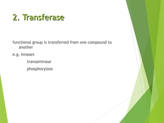 The chemical nature of enzymes, naming and classification of enzymes.ppt