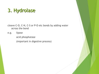 The chemical nature of enzymes, naming and classification of enzymes.ppt